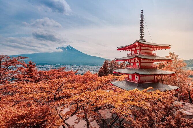 Mt Fuji Full Day Private Tour from Tokyo with English Driver - An In-Depth Look at the Mount Fuji Private Tour