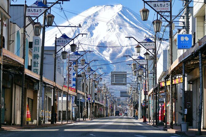 Mt. Fuji & Hakone Area Highlight Spots Car pooling Tour - The Sum Up