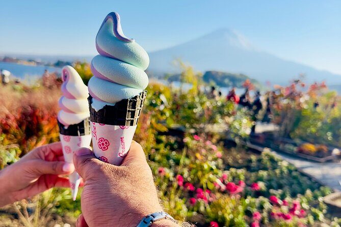 Mt. Fuji & Hakone Cherry Blossom private One Day Tour - What It Means For You
