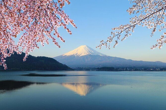 Mt Fuji & Hakone Cruise, Drum Show Bus 1 Day from Tokyo Sta. Area - Key Points