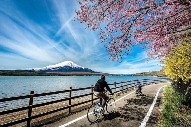 Mt fuji & Hakone customizable day tour w/ English speaking guide - Introduction – A Private Escape to Japan’s Natural Wonders
