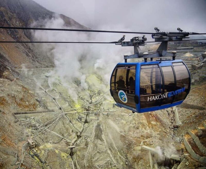 Mt. Fuji & Hakone Day Tour from Tokyo with Indian Lunch - An In-Depth Look at the Tour Itself