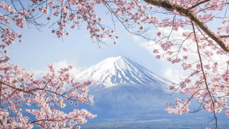 Mt.Fuji Hakone Day Tour With Lake Ashi Cruise, FREE Ropeway - The Value of the Experience