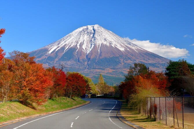 Mt. Fuji & Hakone Day Trip from Tokyo: Private English Driver - Key Points