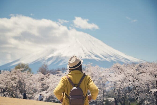 Mt. Fuji & Hakone Day Trip from Tokyo: Private English Driver - A Practical Guide to the Mount Fuji & Hakone Day Trip