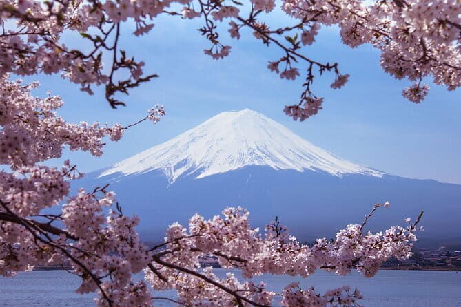 Mt. Fuji & Hakone Day Trip from Tokyo: Private English Driver - FAQ