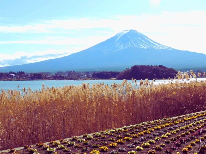 Mt. Fuji & Hakone Day Trip with English-Speaking Driver - Key Points