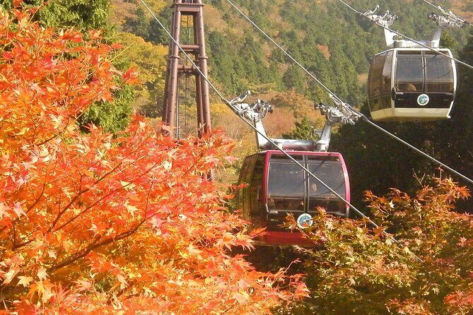 Mt. Fuji & Hakone: Fuji Sengen Shrine, Cruise, and Ramen-Making - Authentic Experiences and Real-Life Insights