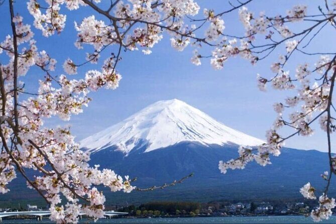 Mt. Fuji, Hakone Full-Day Private Tour with English Driver - Stop 4: Oishi Park