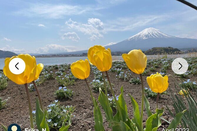 Mt. Fuji, Hakone Full-Day Private Tour with English Driver Guide - FAQ