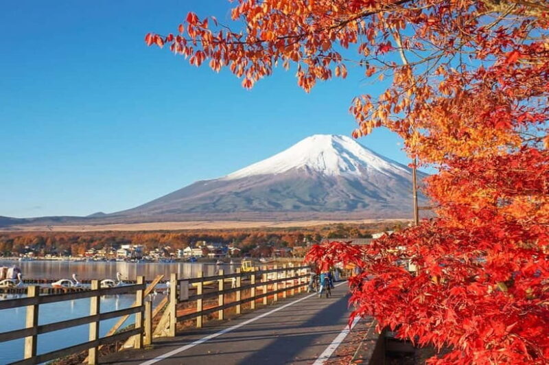 Mt Fuji Hakone/Kamakura Tour: FREE Ropeway& Lake Ashi Cruise - Key Points