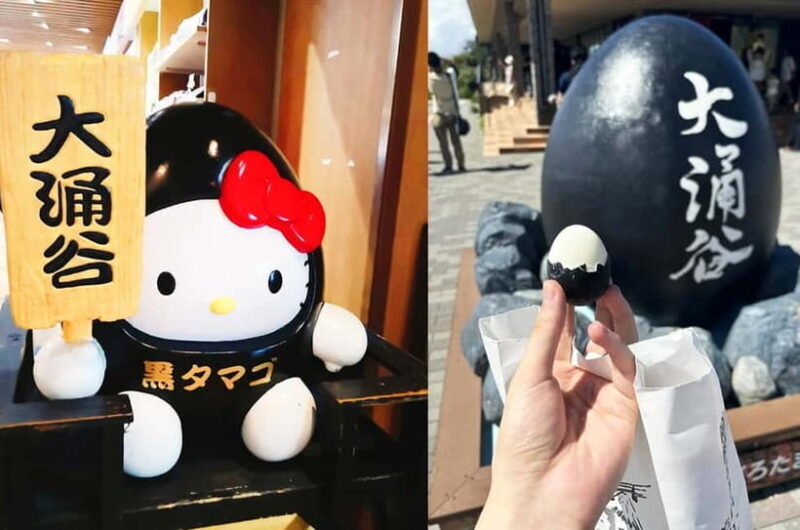 Mt Fuji Hakone/Kamakura Tour: FREE Ropeway& Lake Ashi Cruise - The Sum Up