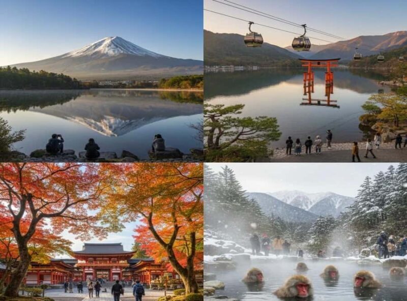 Mt. Fuji, Hakone, Nikko & Nagano Private Tour from Tokyo - The Practicalities: What You Need to Know