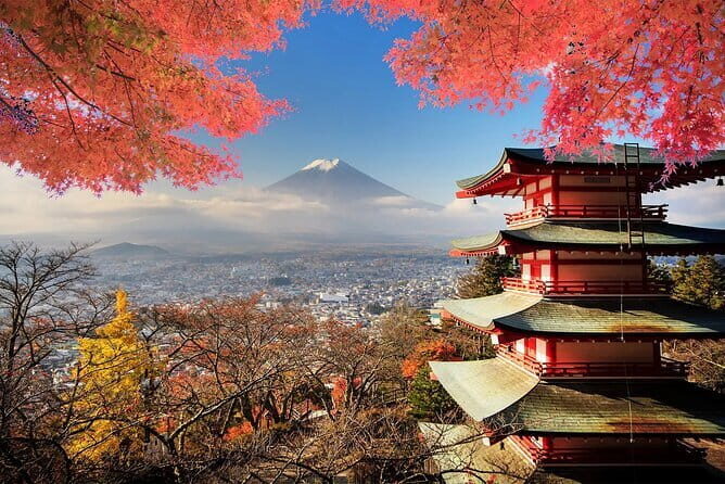 Mt Fuji, Hakone Private Tour by Car Pickup from Tokyo - Key Points