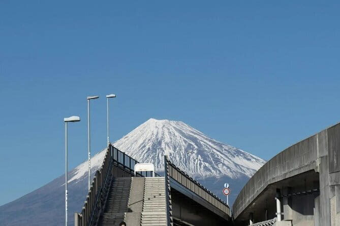 Mt Fuji, Hakone Private Tour by Car Pickup from Tokyo - Hakone Ropeway & Owakudani: An Aerial Adventure