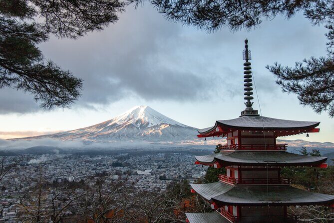 Mt Fuji, Hakone Private Tour by Car with Pickup - The Fine Print & Practicalities