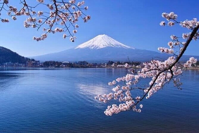 Mt Fuji & Hakone Private Tour from Tokyo & Yokohama - Key Points