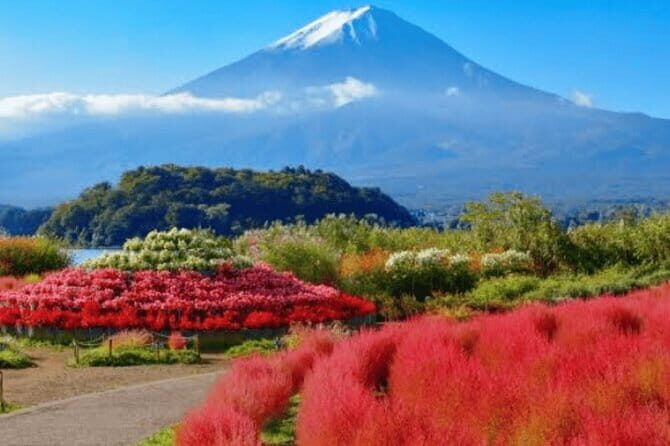 Mt Fuji & Hakone Private Tour from Tokyo & Yokohama - A Close Look at the Itinerary