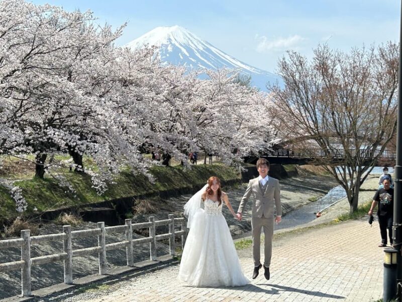 Mt. Fuji & Hakone Private Tour T/F Tokyo, Yokohama up to 12 - FAQs