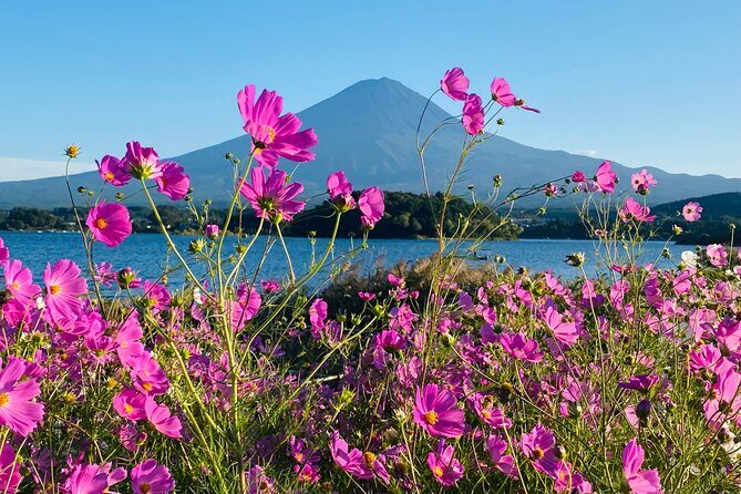 Mt.Fuji Hakone Private Tour with English Speaking Chauffeur - An In-Depth Look at the Itinerary