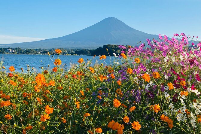 Mt.Fuji Hakone Private Tour with English Speaking Chauffeur - FAQ