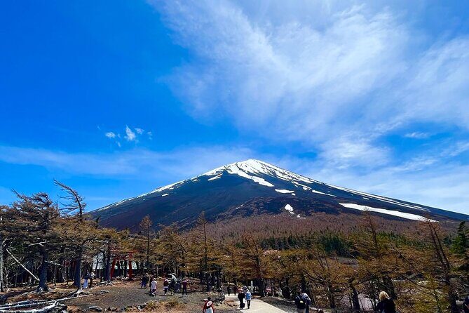 Mt. Fuji & Hakone Tour Tokyo hotel pick-up by Grayline - The Itinerary in Detail