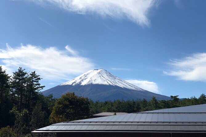 Mt. Fuji & Hakone Tour Tokyo hotel pick-up by Grayline - Who’s This Tour Perfect For?