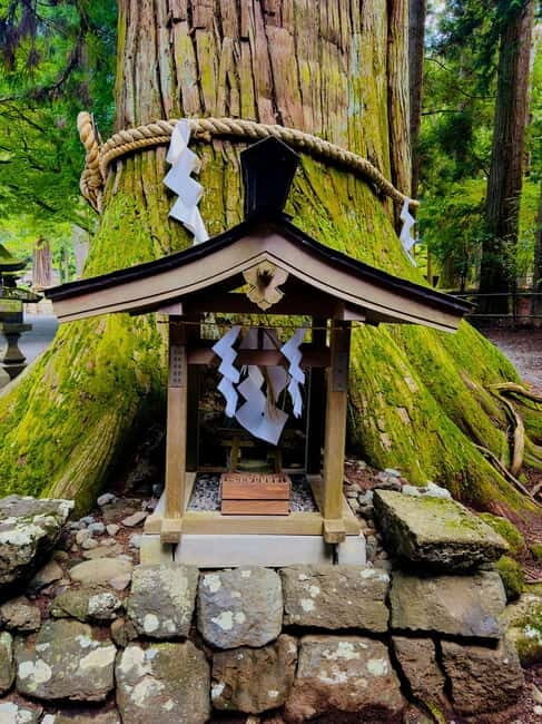 Mt. Fuji & Hakone VIP One Day Tour with pickup and drop off - Mt. Fuji 5th Station: The Classic Photo Spot