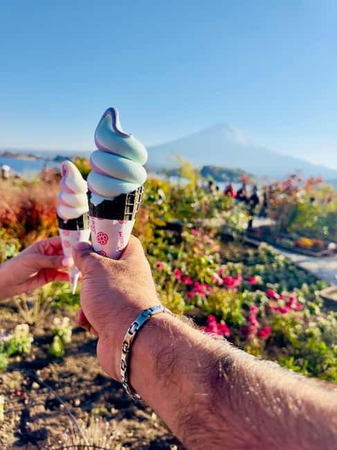 Mt. Fuji & Hakone VIP One Day Tour with pickup and drop off - What’s Included & What’s Not