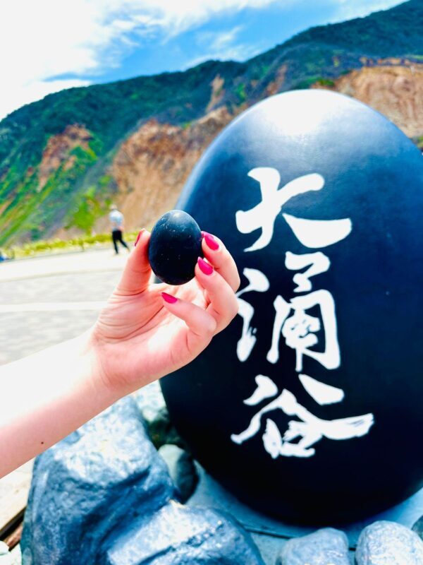 Mt. Fuji & Hakone VIP One Day Tour with pickup and drop off - Practical Considerations