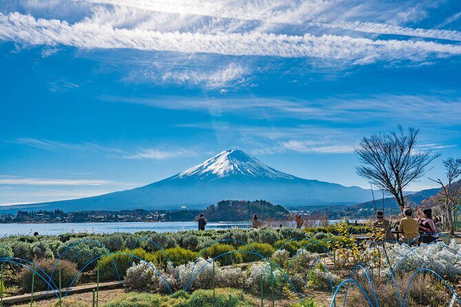 Mt. Fuji Highlight Photo Spots One Day Tour from Tokyo - Frequently Asked Questions