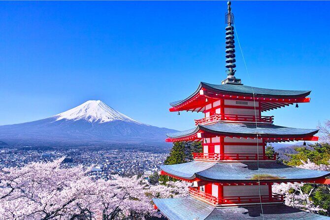 Mt. Fuji Hikawa Clock Shop Oshino Hakkai and Oishi Park Day Trip - A Day with Mount Fuji: What to Expect