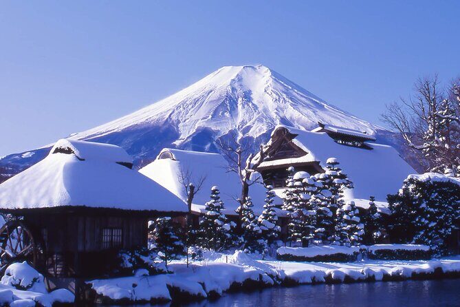 Mt. Fuji Hikawa Clock Shop Oshino Hakkai and Oishi Park Day Trip - The Value of This Tour