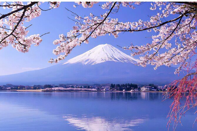 Mt. Fuji Hikawa Clock Shop Oshino Hakkai and Oishi Park Day Trip - FAQ