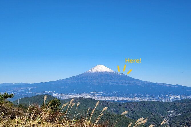 Mt. Fuji Hiking from Shimizu Port - A Detailed Look at the Tour Experience