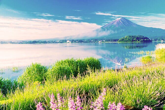 Mt. Fuji in Comfort: Private Ride Premium Service - Exploring the Itinerary and What You Can Expect