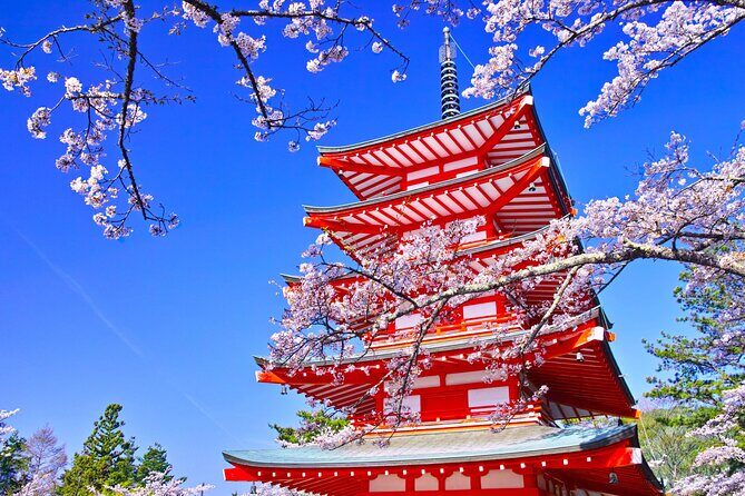 Mt. Fuji Instagram Spots Day Trip Oshino Hakkai Oishi Park & More - What Do Real Guests Say?