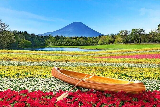 Mt. Fuji & Kawaguchiko Flower Viewing Tour (with Free Kusa Mochi) - Key Points