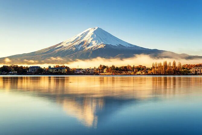 Mt. Fuji & Kawaguchiko Flower Viewing Tour (with Free Kusa Mochi) - Discovering the Highlights: A Deep Dive into the Tour