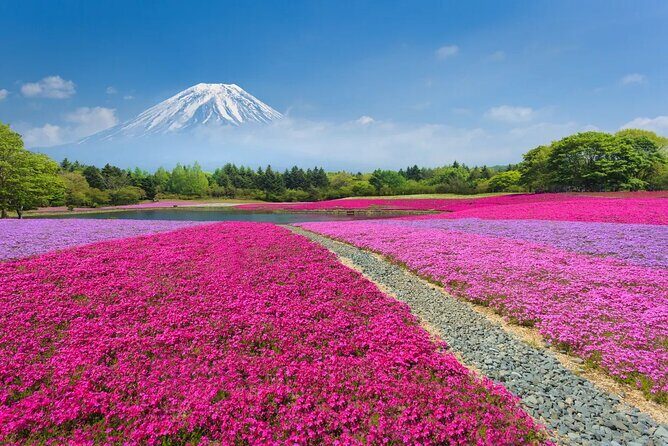 Mt Fuji Lake Kawaguchi and Yamanakako Onsen Tour from Tokyo - Key Points