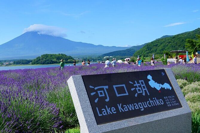 Mt Fuji Lake Kawaguchi and Yamanakako Onsen Tour from Tokyo - Review Highlights and Real Experiences
