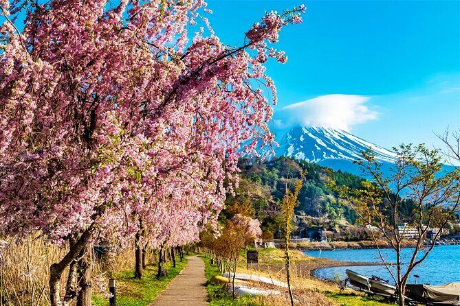 Mt Fuji Lake Kawaguchi and Yamanakako Onsen Tour from Tokyo - Who Is This Tour Best For?