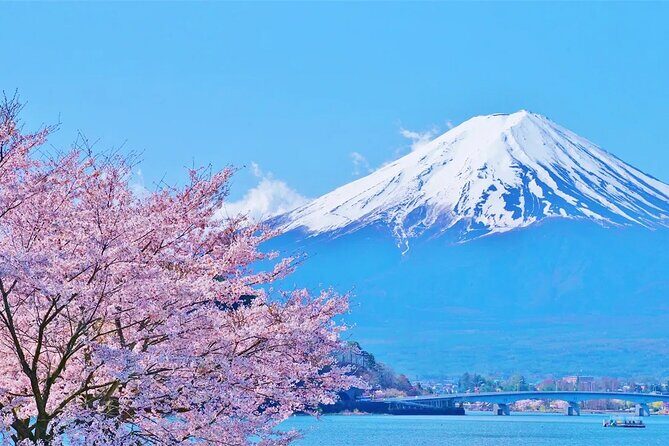 Mt Fuji Lake Kawaguchi and Yamanakako Onsen Tour from Tokyo - Final Thoughts