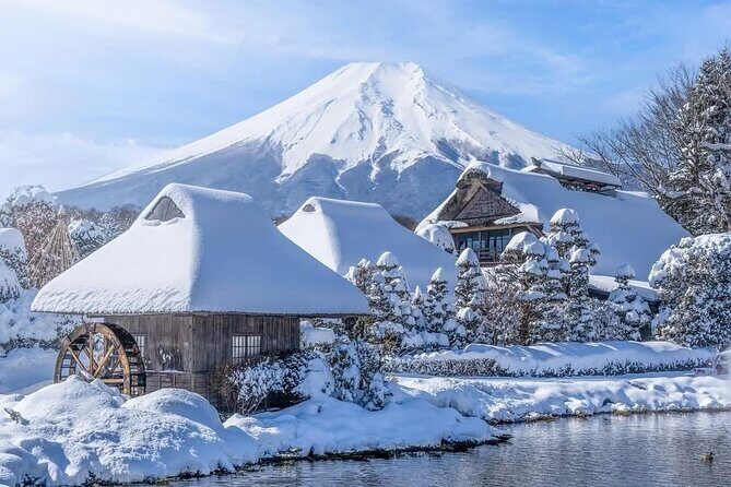 Mt Fuji & Lake Kawaguchi Private Day Trip from Tokyo - Key Points