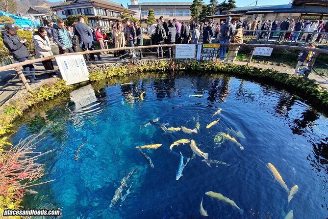 Mt Fuji & Lake Kawaguchi Private Day Trip from Tokyo - Final Thoughts