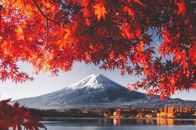 Mt. Fuji, Lake Kawaguchiko Private Tour with Pick up - Key Points
