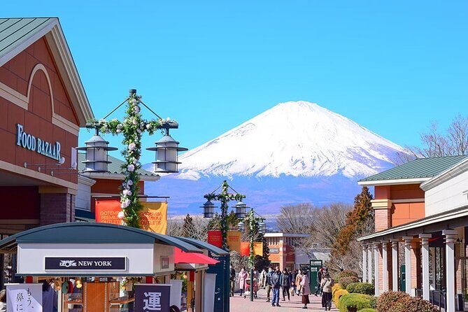 Mt. Fuji Luxury Getaway and Hakone Adventure by Private Car - Who Will Love This Tour?