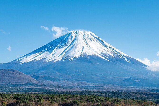Mt.Fuji, Oishi Park & Arakurayama Sengen Park Bus Tour From Tokyo - A Closer Look at the Itinerary