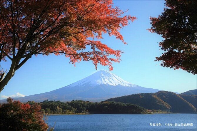 Mt.Fuji, Oishi Park & Arakurayama Sengen Park Bus Tour From Tokyo - Who Is This Tour Best For?