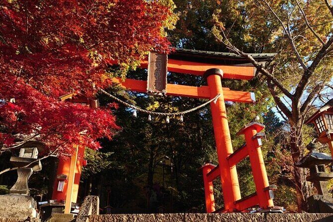 Mt. Fuji one day Private tour from tokyo with English guider - Key Points